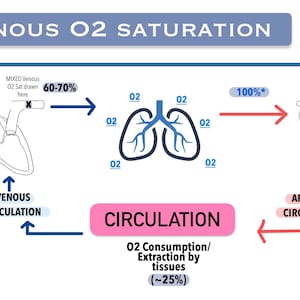 Mixed/central Venous O2 Saturation svo2/scvo2 Concept Map - Etsy