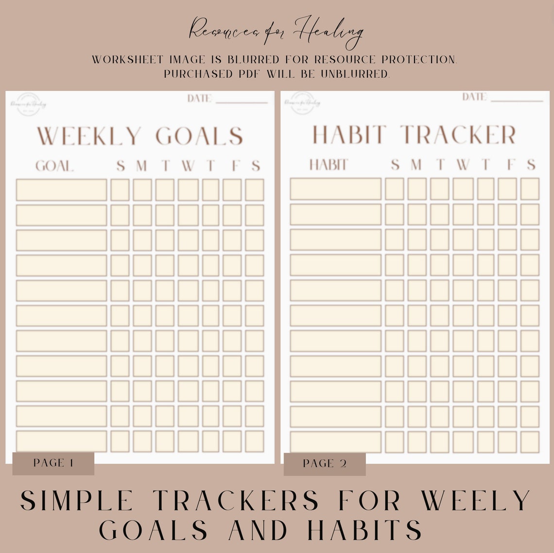 Simple Weekly Goals Checklist Handout PRINTABLE | Weekly Worksheet PDF ...