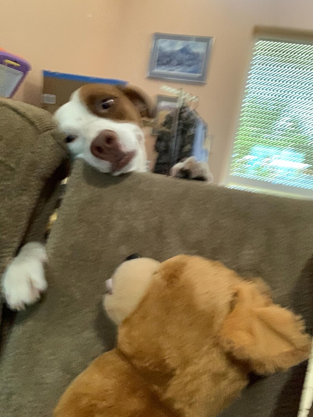 Beatles - Mega Value - External Solid-state Drive 1TB - Customize Your ...