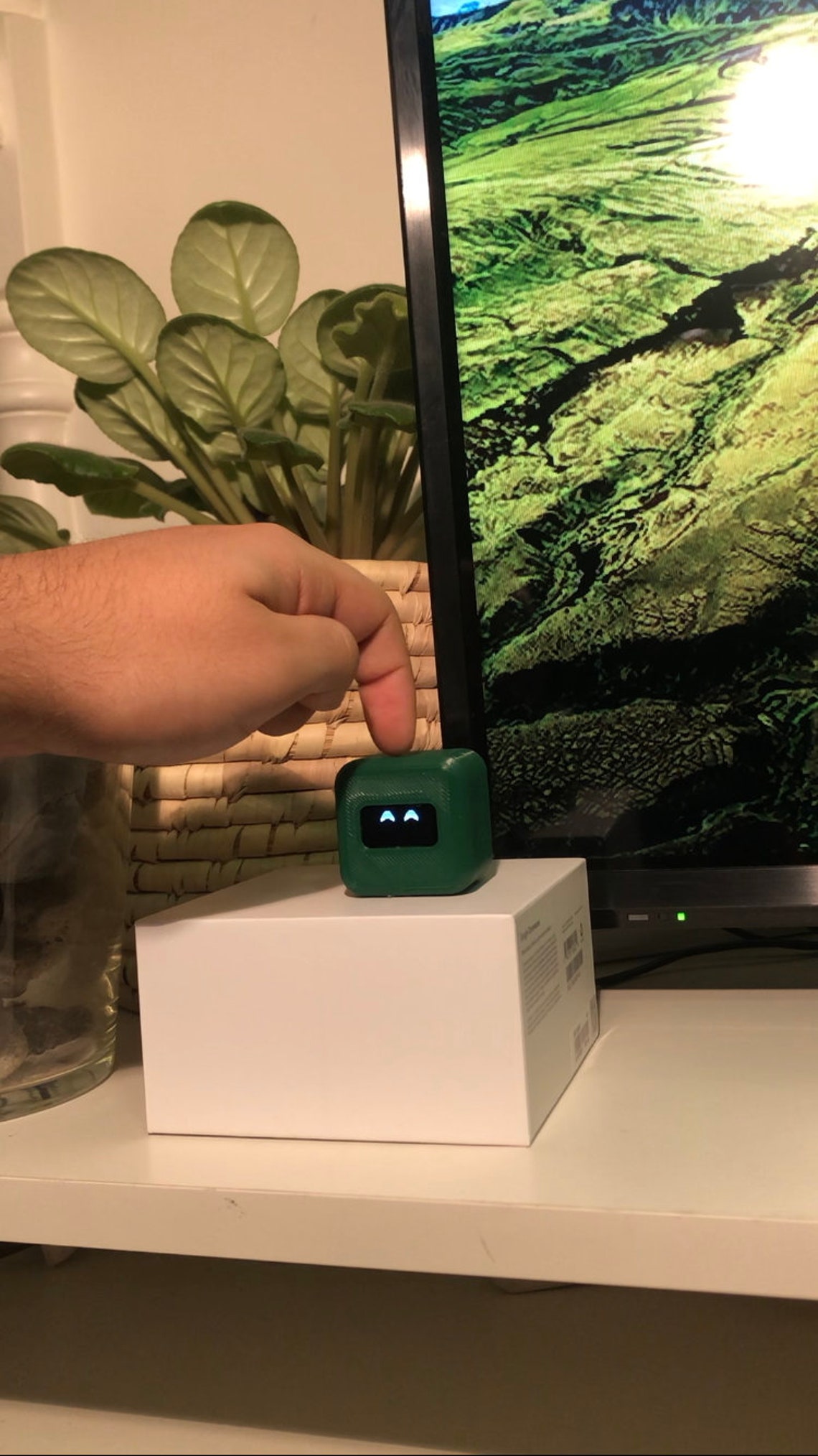 Ortomi Robot Buddy - Etsy