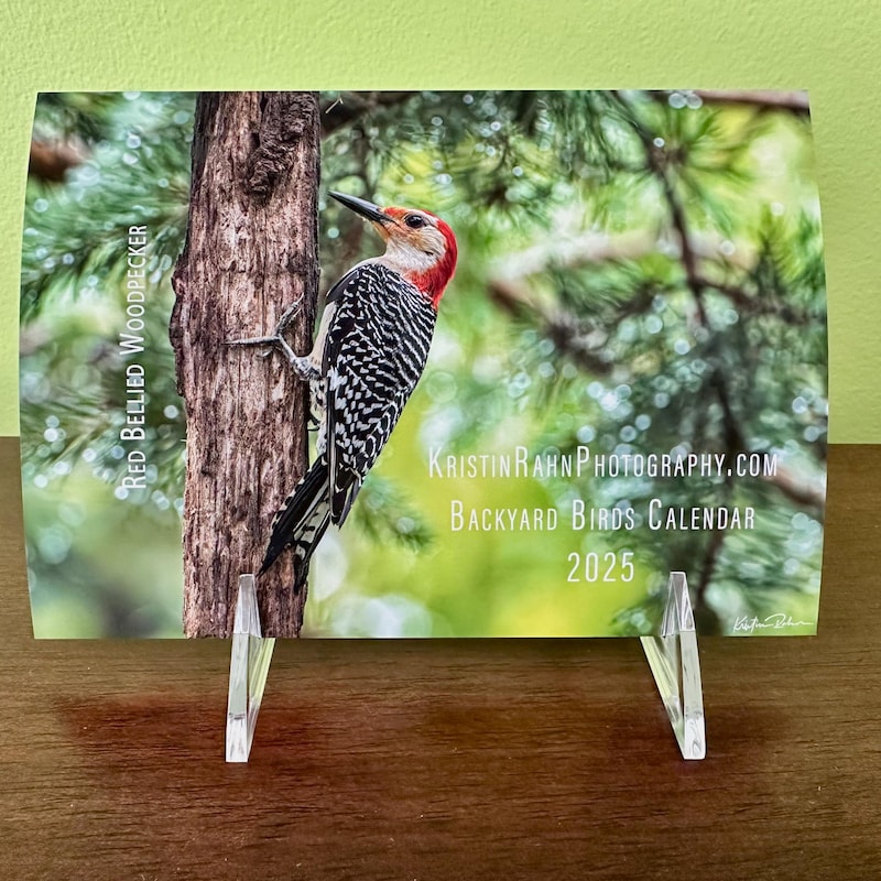 Nature Calendar - Etsy