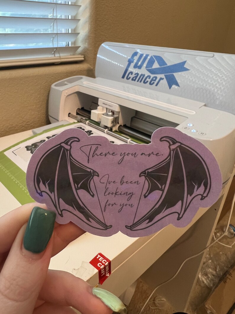 ACOTAR Sticker Bundle - Etsy