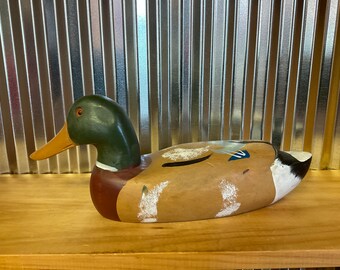 Vintage Common Eider Cuddy's Duck somateria Mollissima Hand Curved ...