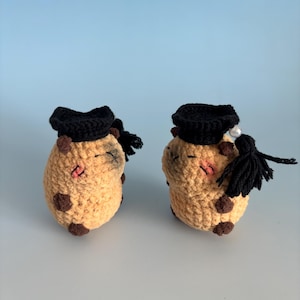Crochet Graduation Capybara Toy Cute Crochet Charm Amigurumi Capybara ...