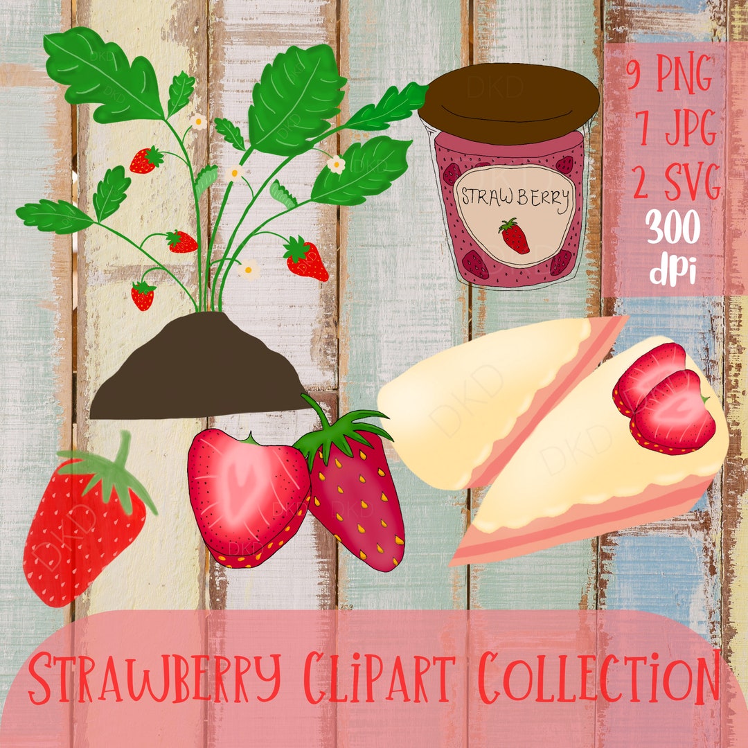 Strawberry Clipart PNG Bundle, Cute Fruit Sticker Collection, Kawaii ...