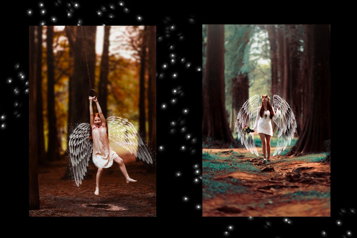 Angel Wings Procreate Stamp Brushes - Etsy