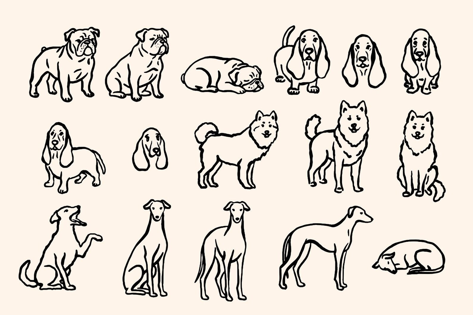 Hand Drawn Dog Clipart Set | Puppy Breeds SVG, PNG, EPS, - Etsy