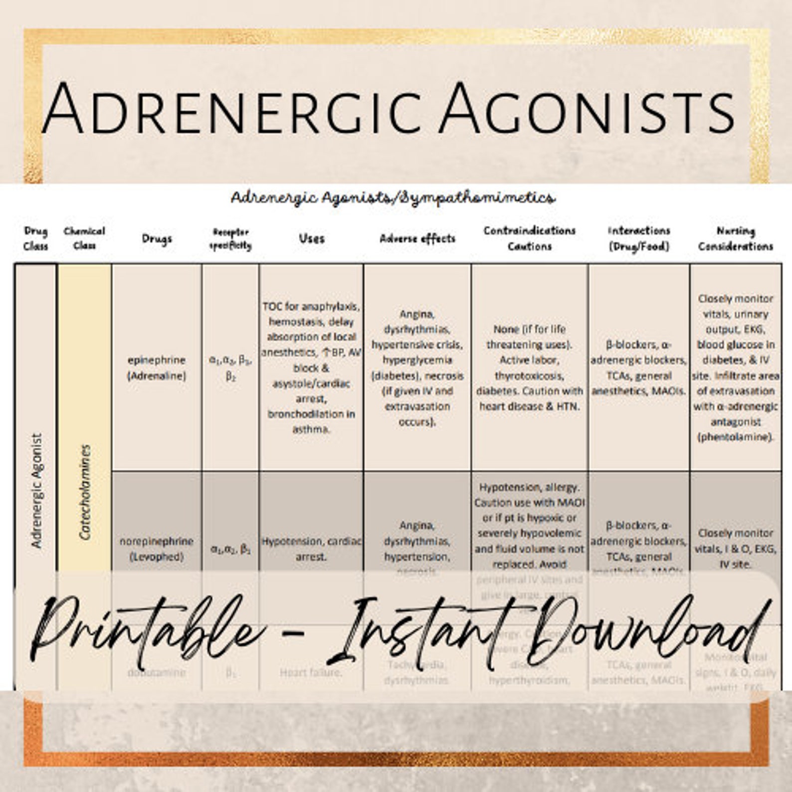 Adrenergic Agonist Pharm Cheat Sheet - Etsy