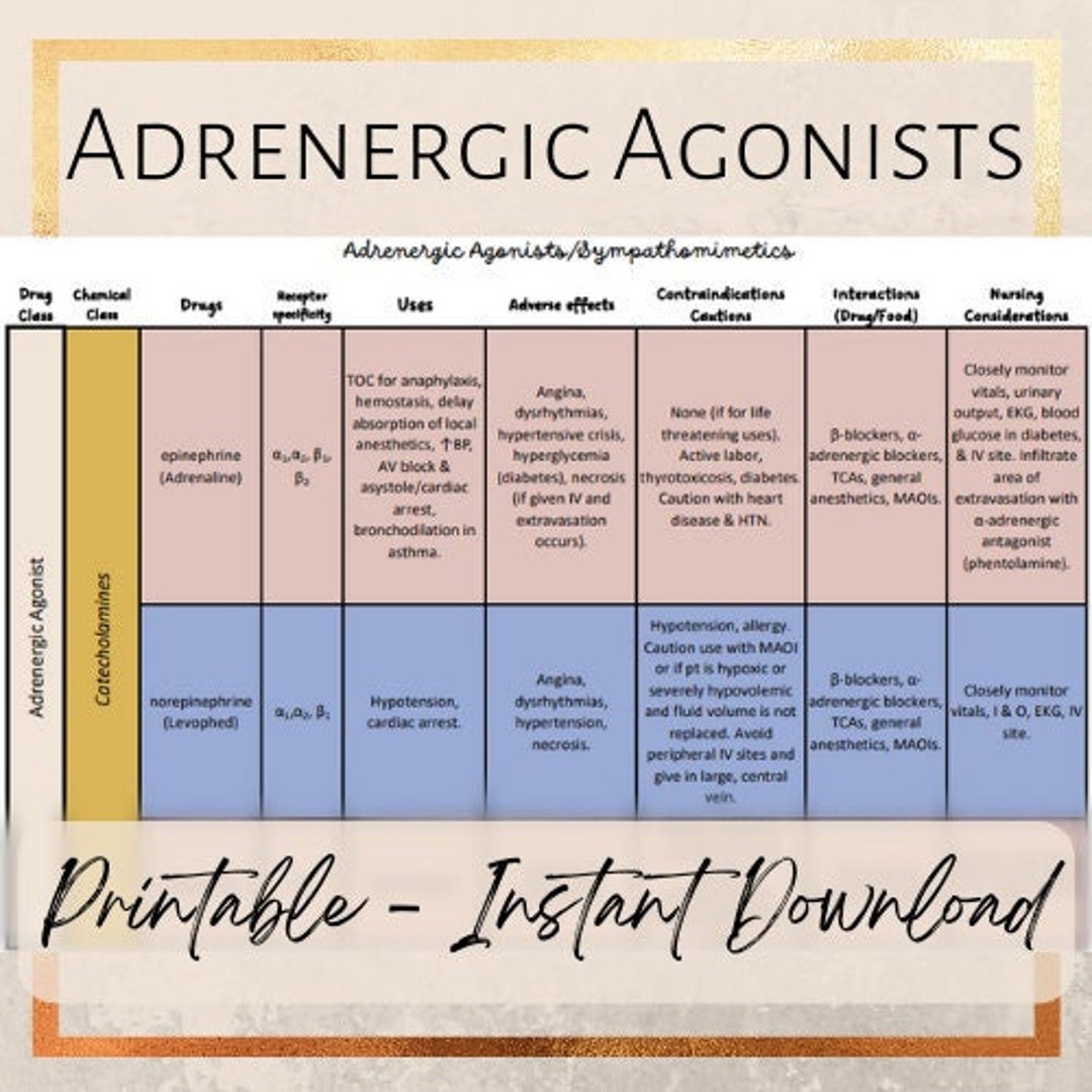 Adrenergic Agonist Pharm Cheat Sheet - Etsy
