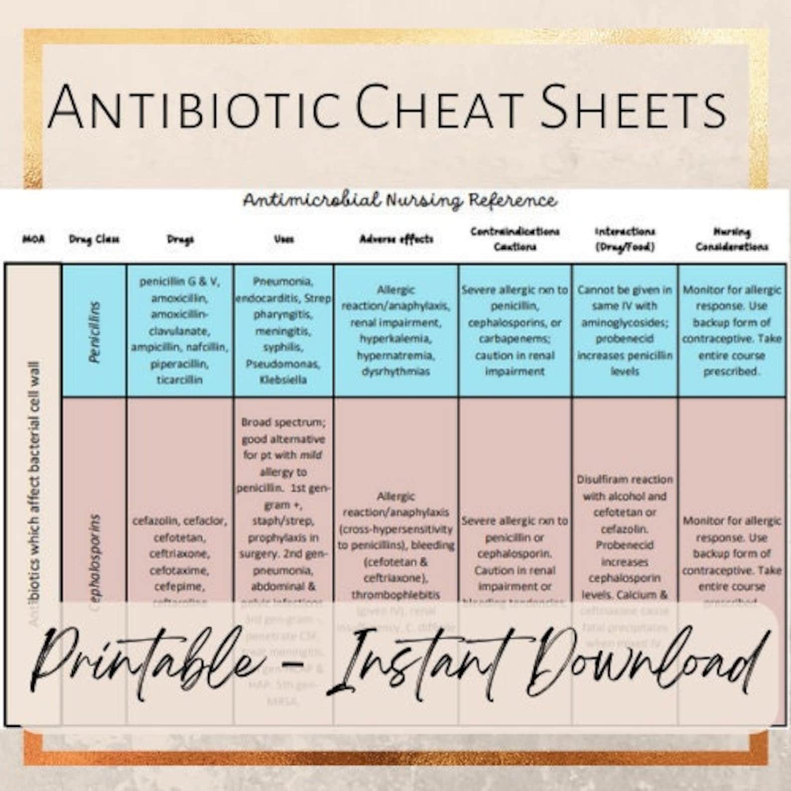 Antibiotic Cheat Sheet - Etsy