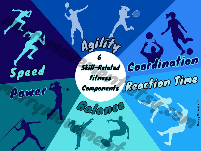 Health-related and Skill-related Fitness Components Poster| Gym Fitness ...