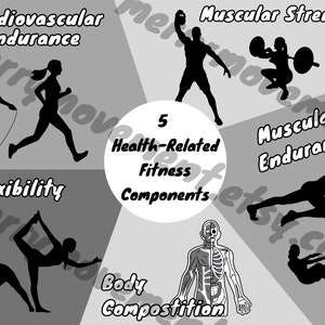 Health-related and Skill-related Fitness Components Poster| Gym Fitness ...