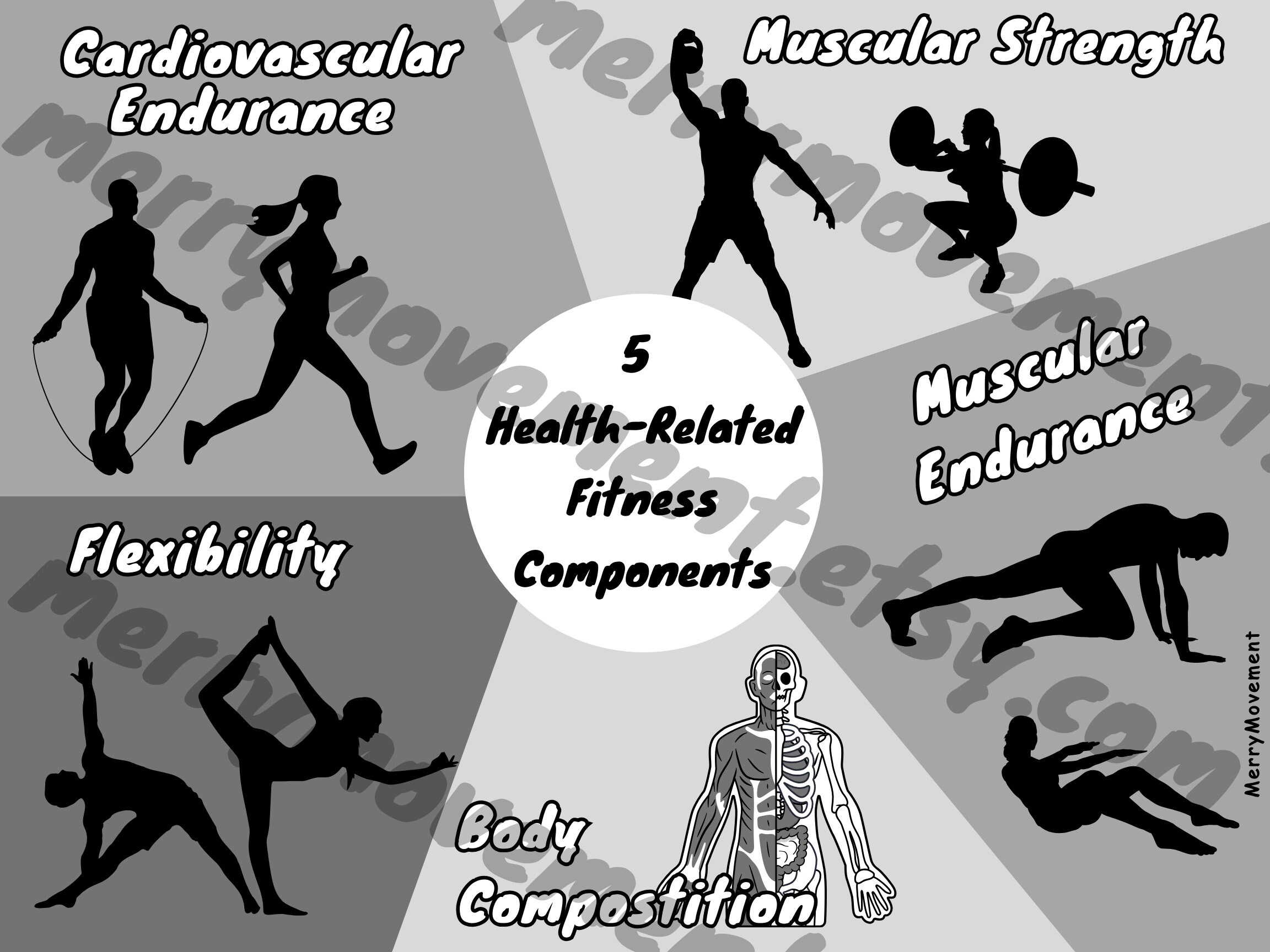 Health-related and Skill-related Fitness Components Poster| Gym Fitness ...
