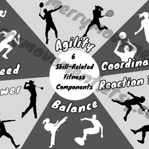 Health-related and Skill-related Fitness Components Poster| Gym Fitness ...