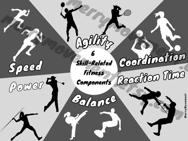 Health-related and Skill-related Fitness Components Poster| Gym Fitness ...