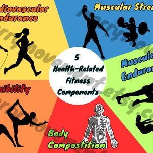 Health-related and Skill-related Fitness Components Poster| Gym Fitness ...