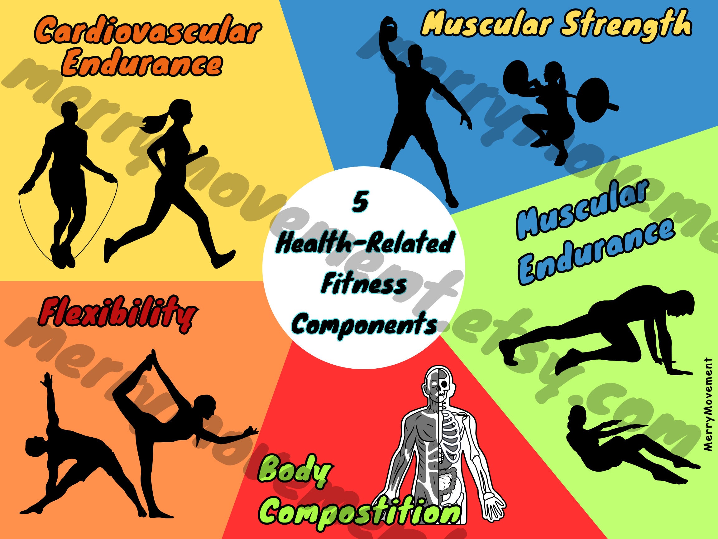 Health related and Skill related Fitness Components Poster Gym Fitness Sign Physed Class Poster 11 Fitness Components P.E. Class Signs Etsy