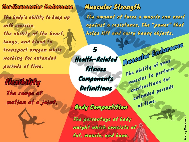 Health-related and Skill-related Fitness Components Poster| Gym Fitness ...