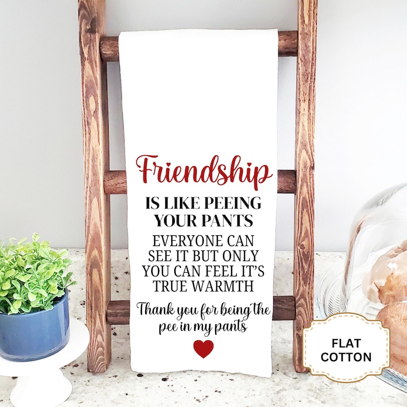 Funny Friends Kitchen Towel: Friendship Quote Gift, Hand Tea Dish Towel ...