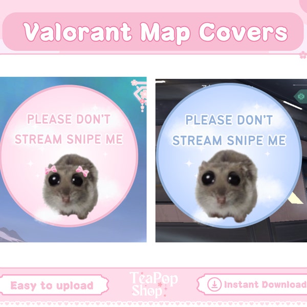 Cover for Valorant - Etsy