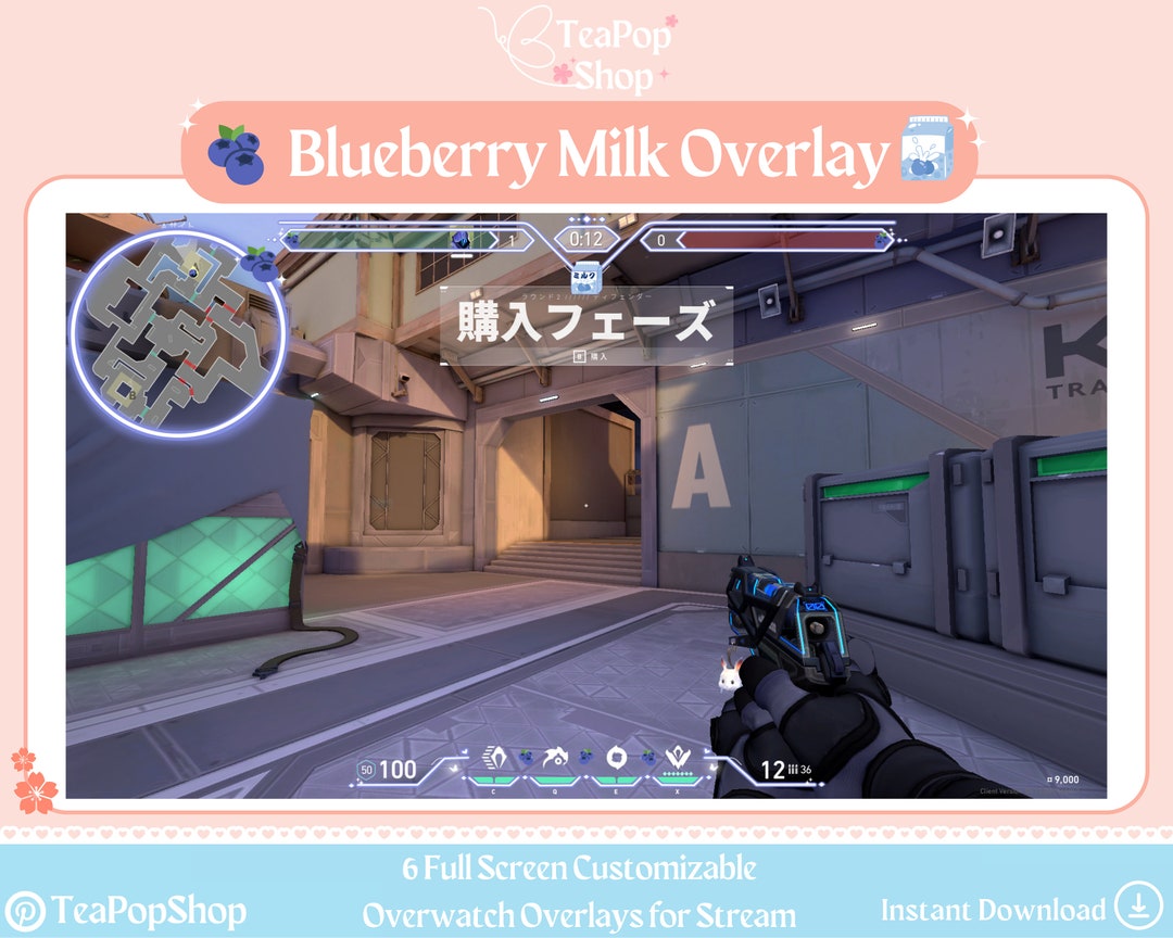 Blueberry Milk Valorant Overlay HUD Customizable Blueberry Omen Stream ...