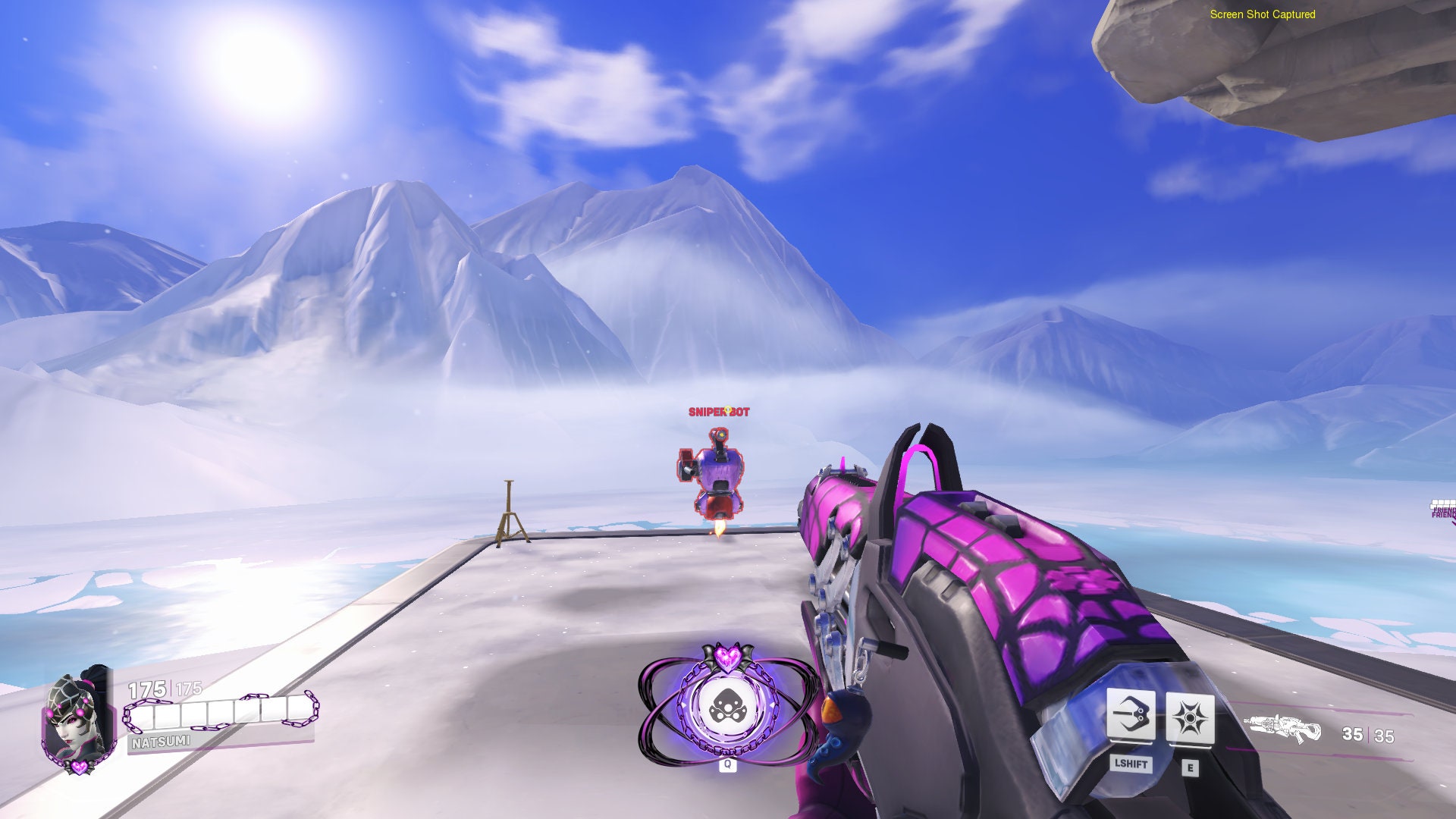 Goth Purple Overwatch Stream Overlay for Twitch Customizable Twitch ...