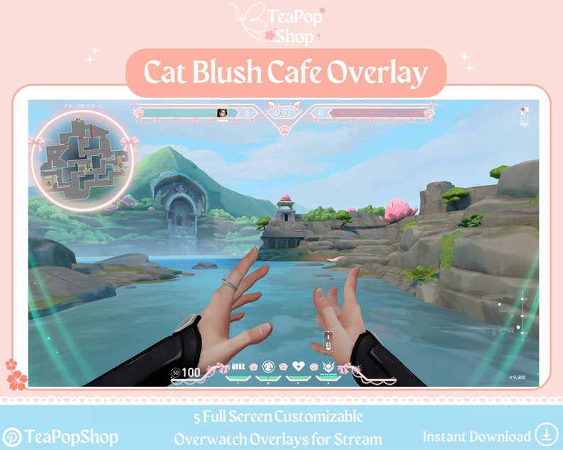 Cat Blush Cafe Pink Valorant Overlay HUD Customizable Cat Stream Pink ...