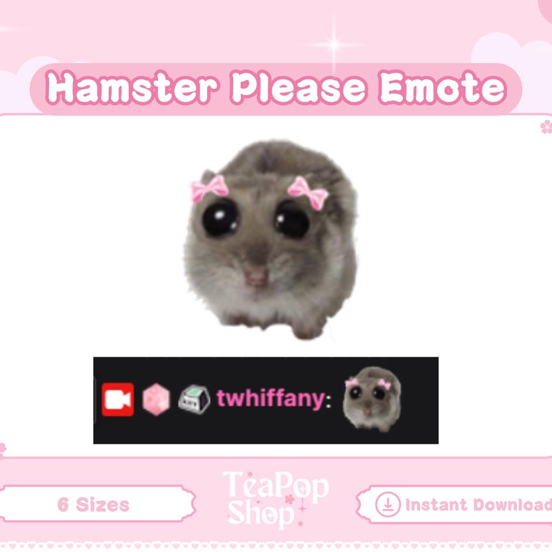 Sad Hamster With a Bow - Etsy