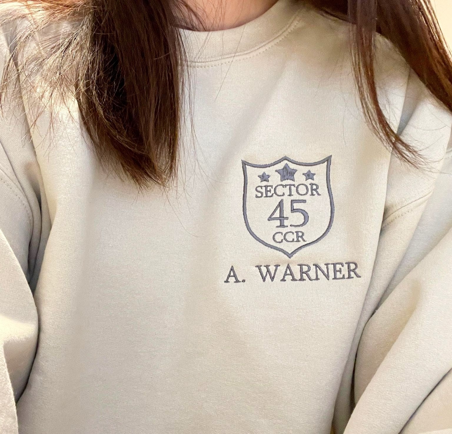 Aaron Warner Shatter Me 45 Sector CCR Uniform Crewneck/Felpa, Merch ...