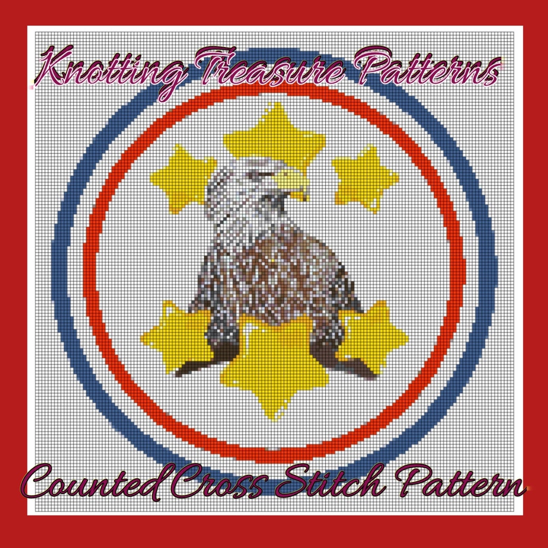 Bald Eagle Surrounded by Posh Stars Two Colored Circles Artwork Large ...