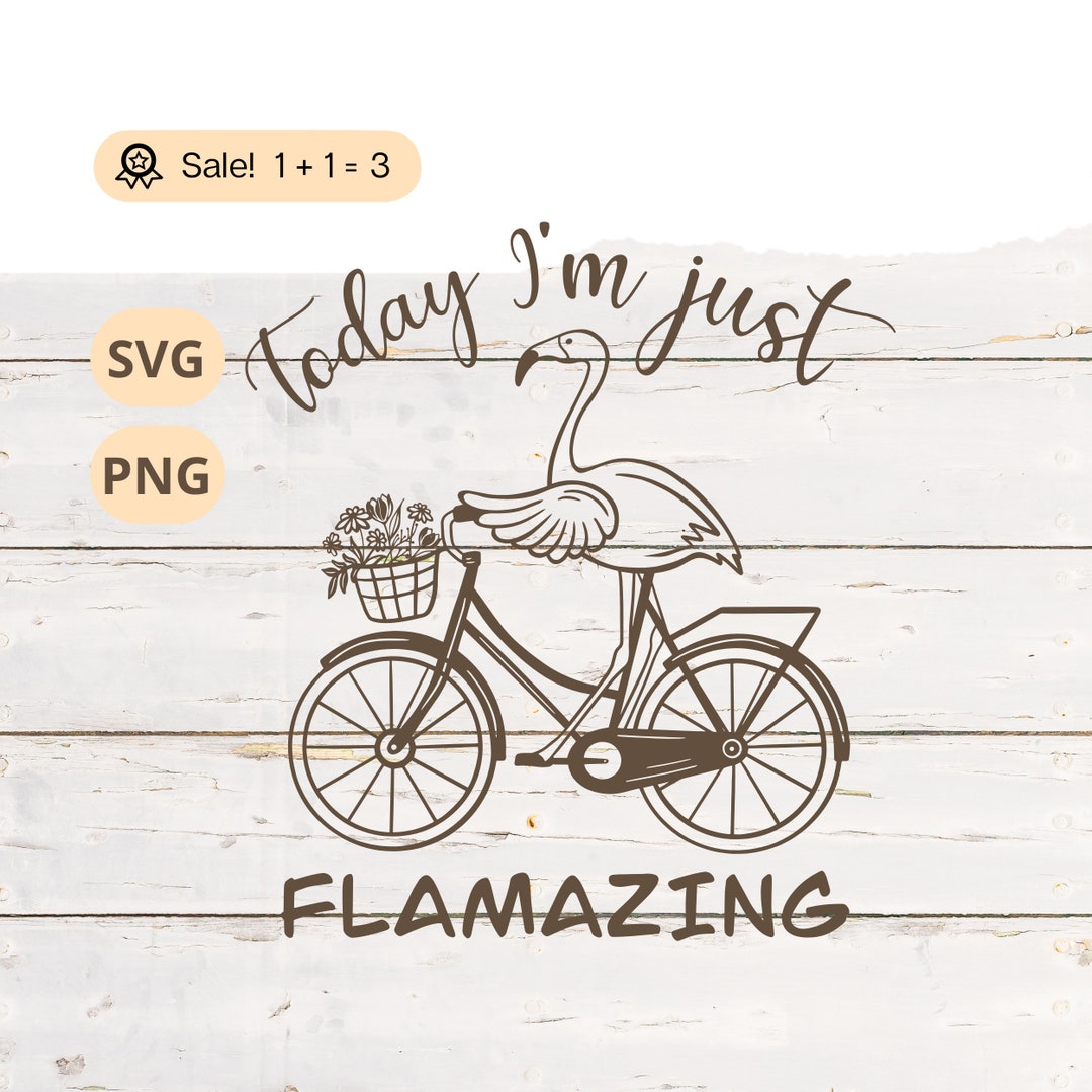 Flamingo on a Bike SVG PNG, Flamingo Svg, Flamazing Svg, Funny Flamingo ...