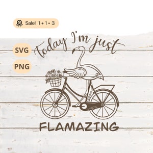 Flamingo on a Bike SVG PNG, Flamingo Svg, Flamazing Svg, Funny Flamingo ...
