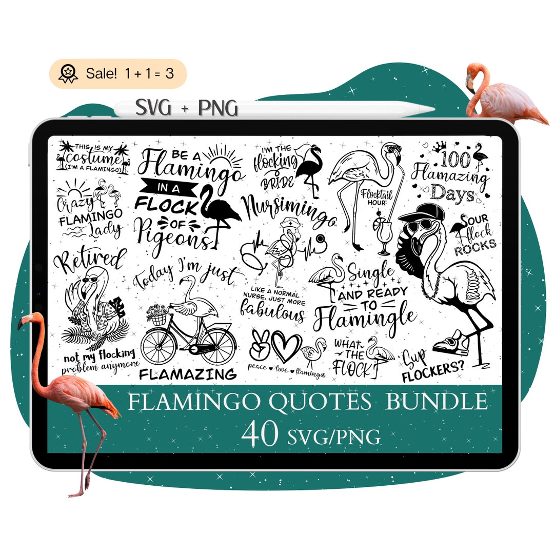 40 Flamingo Quotes SVG Bundle, Flamingo SVG, Flamingo Signs, Flamingo ...