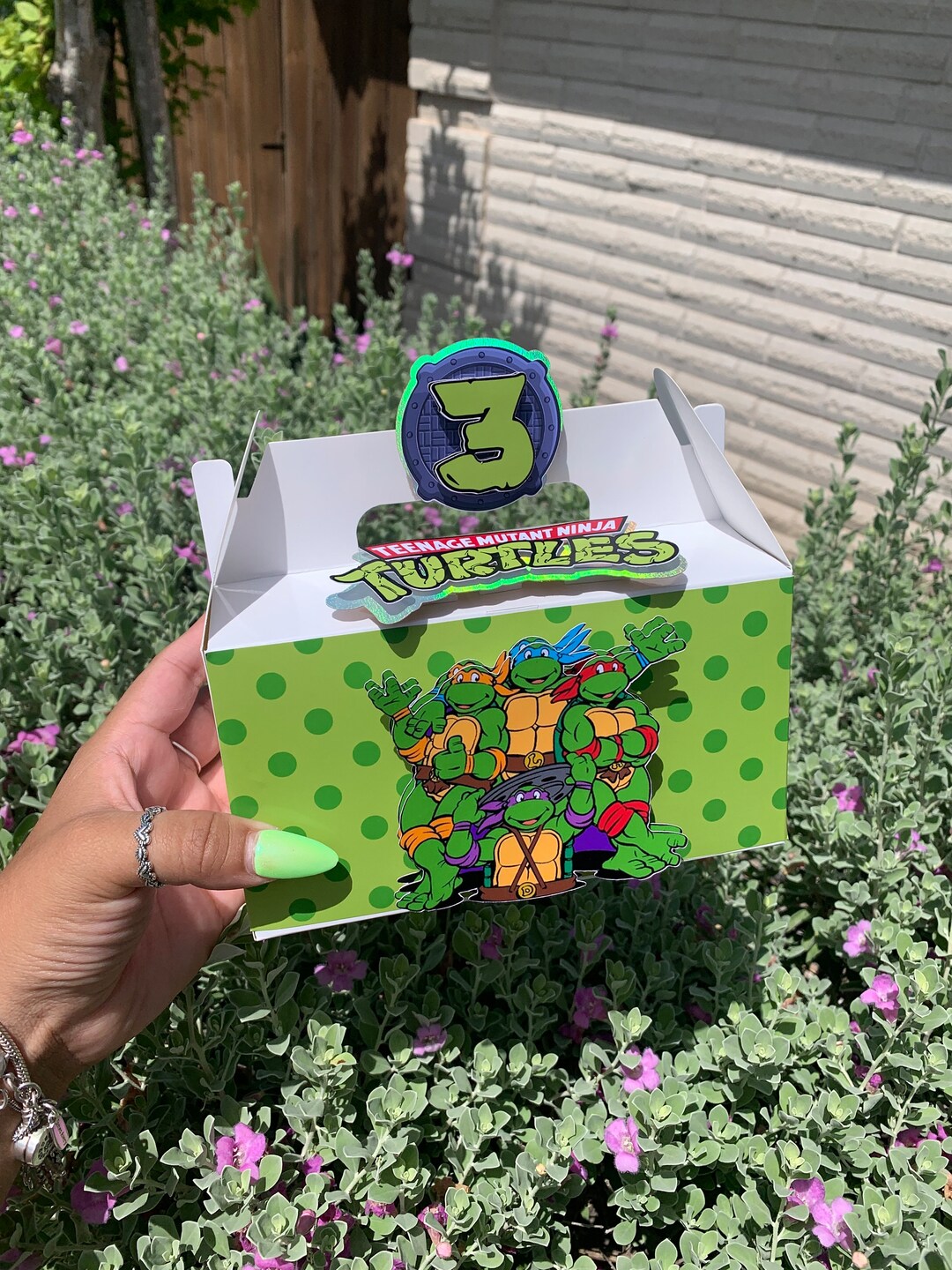 TMNT GABLE BOXES - Etsy