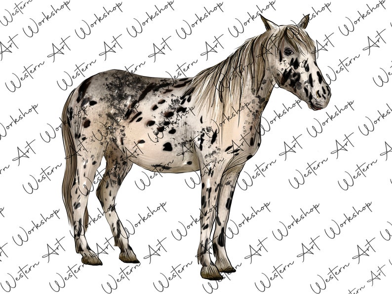 Appaloosa Horse Png Horse Png Horse Png Sublimation Design - Etsy