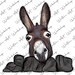 Watercolor Donkey Sublimation Png, Donkey Png, Donkey, Donkey Clipart ...
