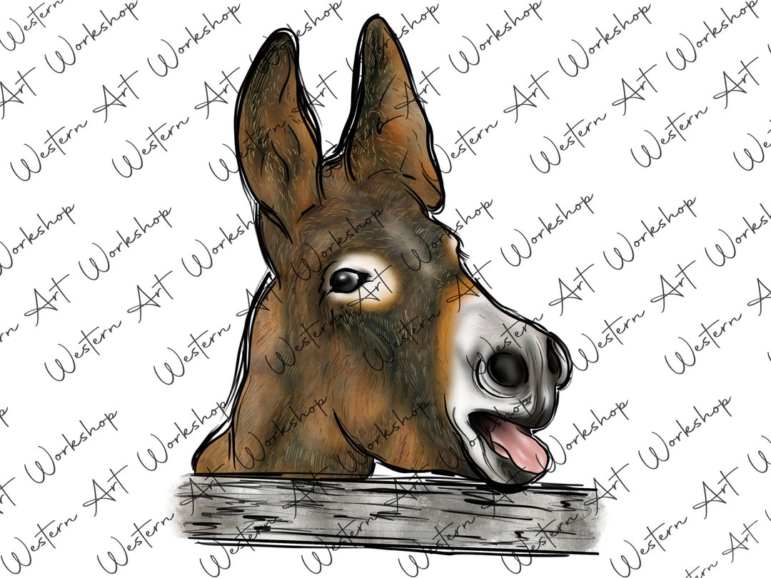 Watercolor Mule Png, Mule Png, Cute Mule Png, Western Donkey Png ...