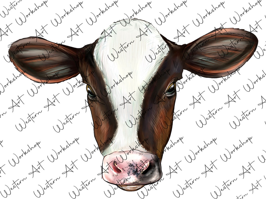 Holstein Calf Face Png, Holstein Cow Png Sublimation Design, Hand Drawn ...