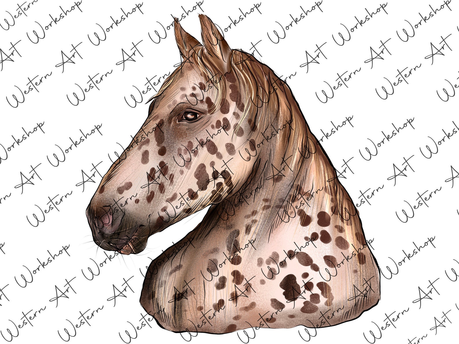 Appaloosa Horse Png Horse Png Horse Png Sublimation Design | Etsy