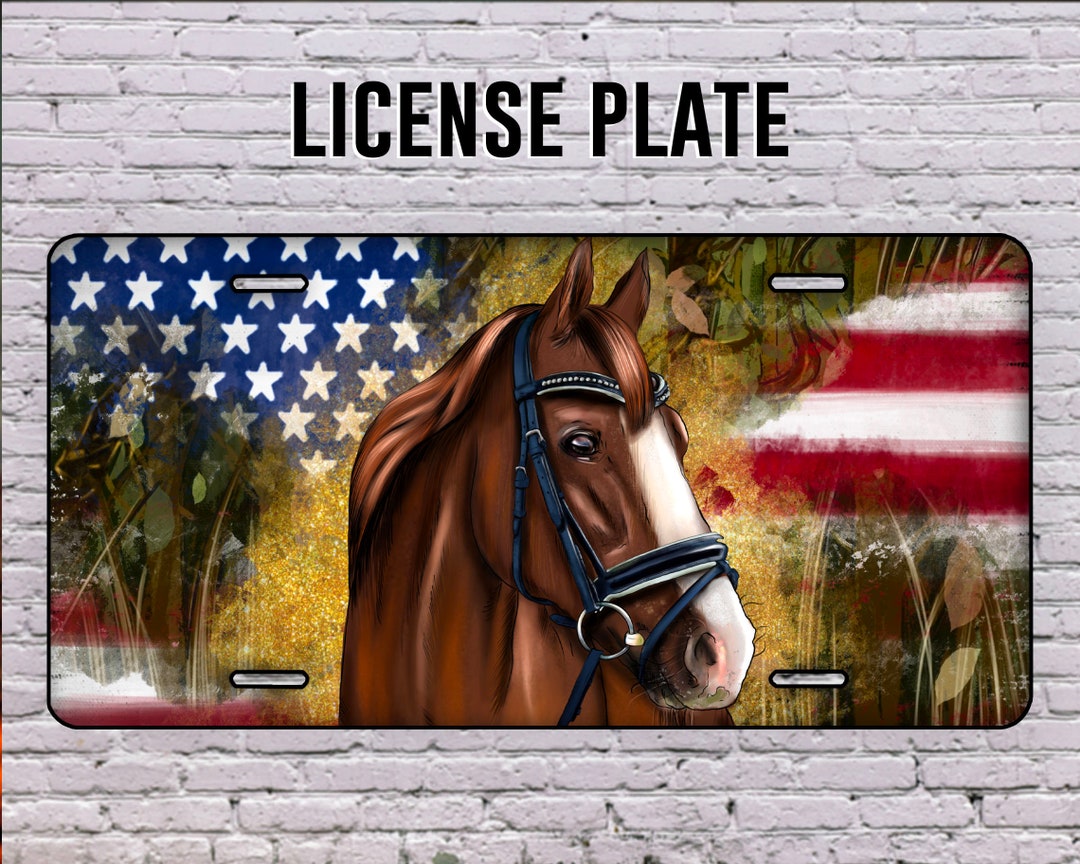 Pferd Kennzeichen Png, Amerika Png, Camouflage American Plate ...