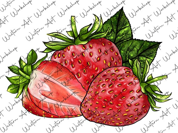 Strawberries Sublimation Design Summer Strawberry Watercolor - Etsy