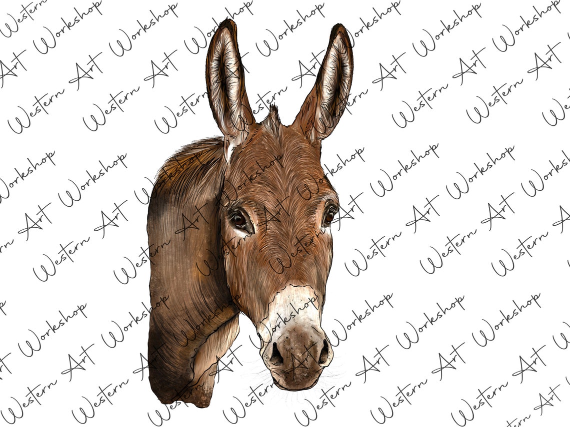 Donkey Sublimation Png Donkey Portrait Png Hand Drawn Donkey - Etsy