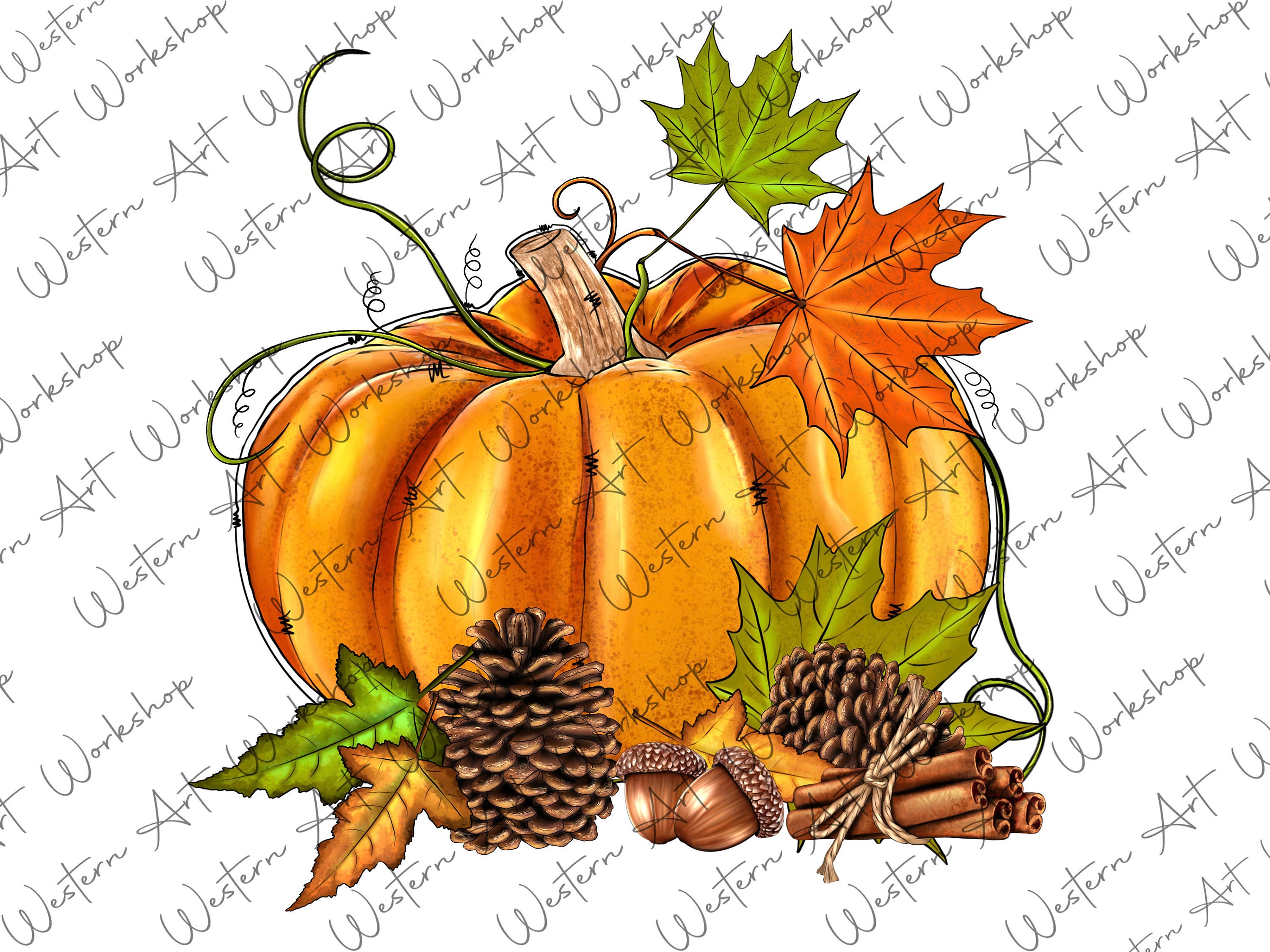 Pumpkin Bundle Png Hand Drawn Pumpkin Design Png Bundle - Etsy