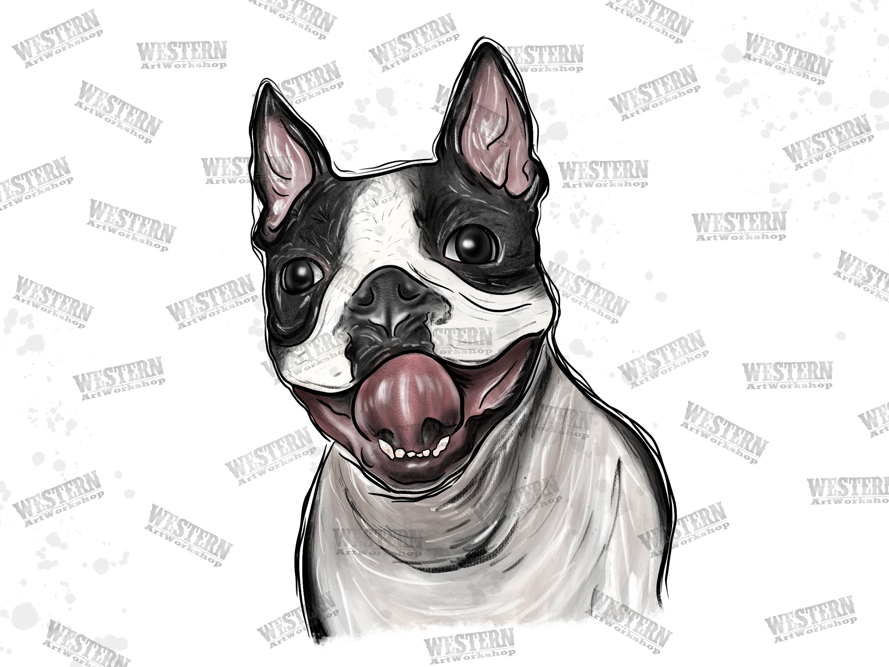 Boston Terrier Face Drawing