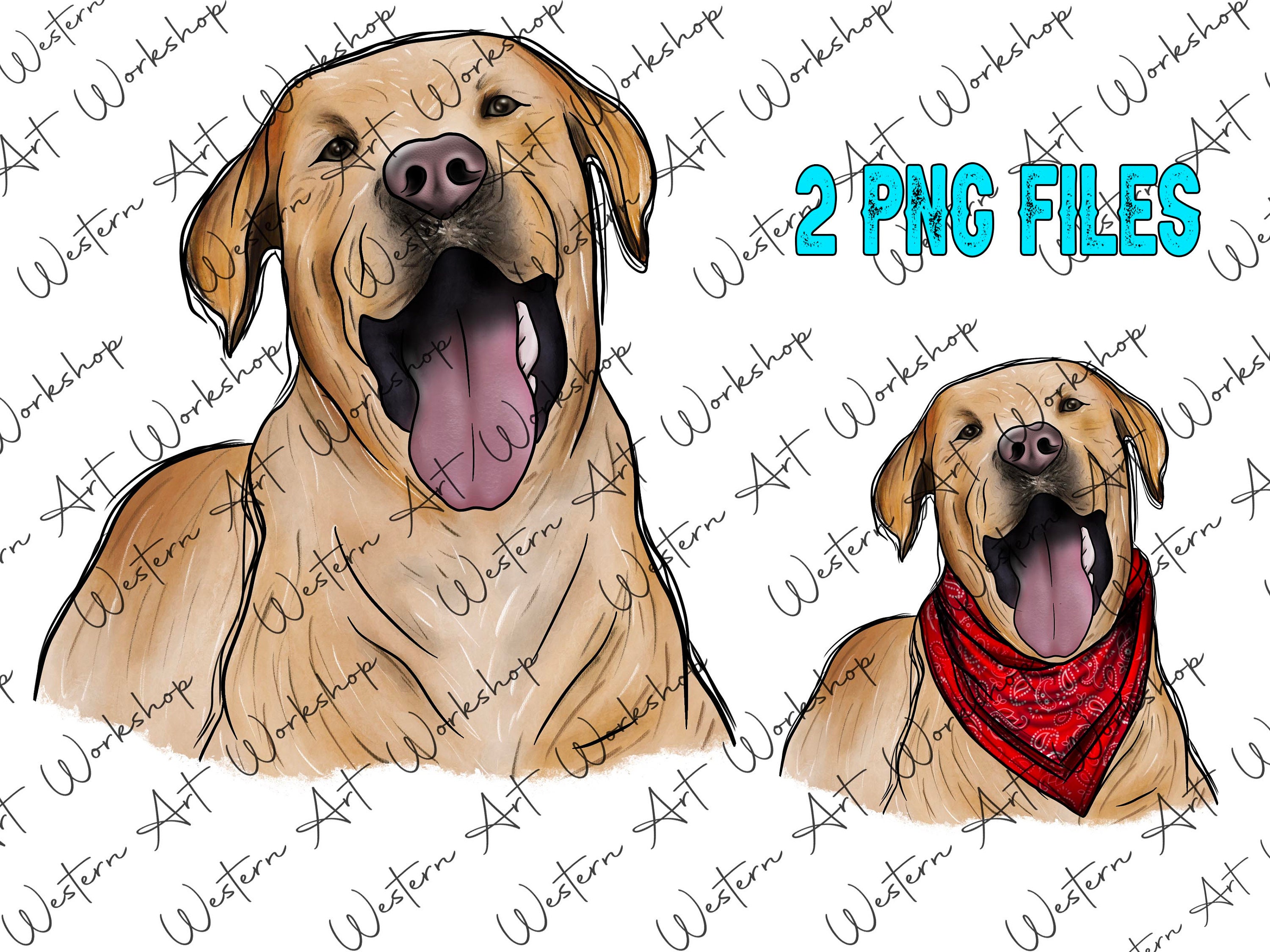 Labrador Retriever Png Retriever Portrait Png Dog Portrait - Etsy