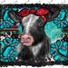 Cowhide Wood Barn Turquoise Background Calf Png, Baby Calf Png, Calf ...