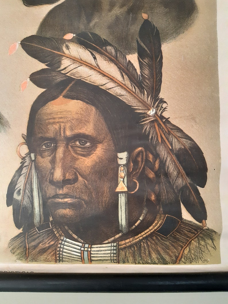 RARE Old Poster,the Five Human Races,vintage Educational Poster,early ...