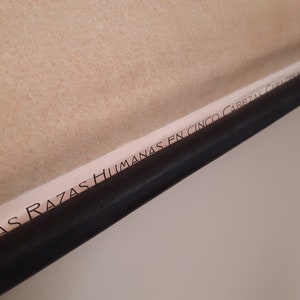 RARE Old Poster,the Five Human Races,vintage Educational Poster,early ...