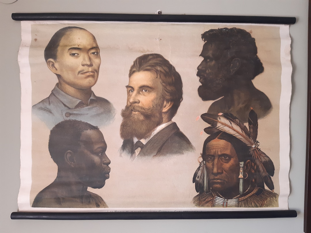 RARE Old Poster,the Five Human Races,vintage Educational Poster,early ...