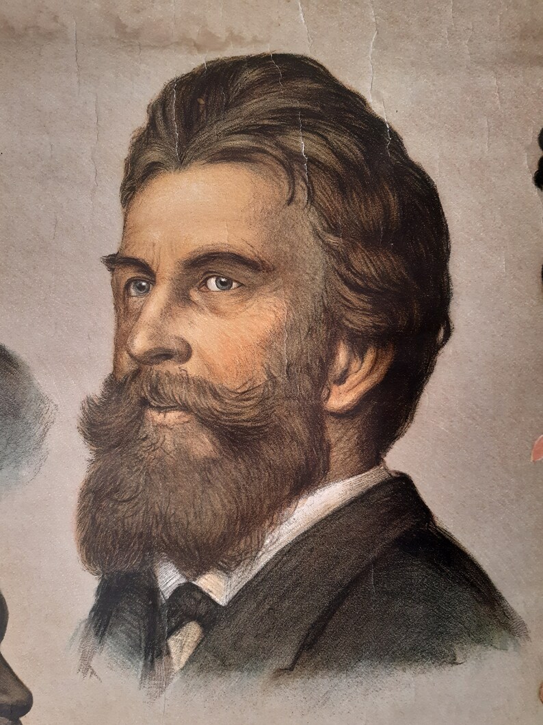 RARE Old Poster,the Five Human Races,vintage Educational Poster,early ...